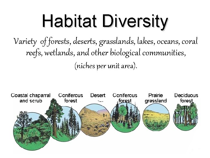 4 1 1 Biodiversity Biodiversity The amount of