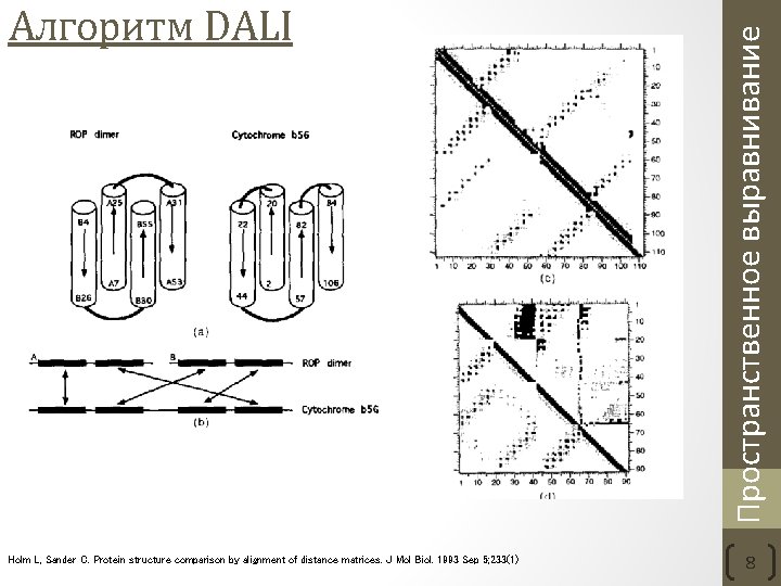 Holm L Sander C Protein structure comparison by
