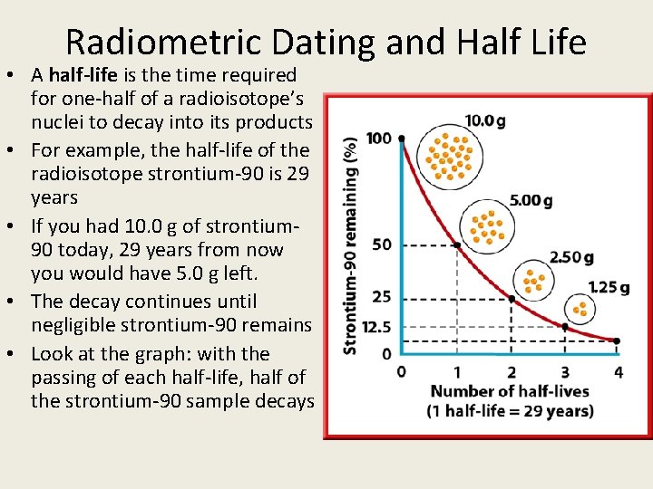Broad Patterns of Evolution CVHS Chapter 23 Fossil