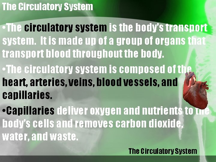 Body Systems and how they work together There