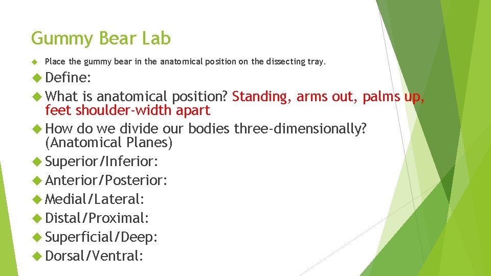 Warm Up Objective Scientists will explain the directional