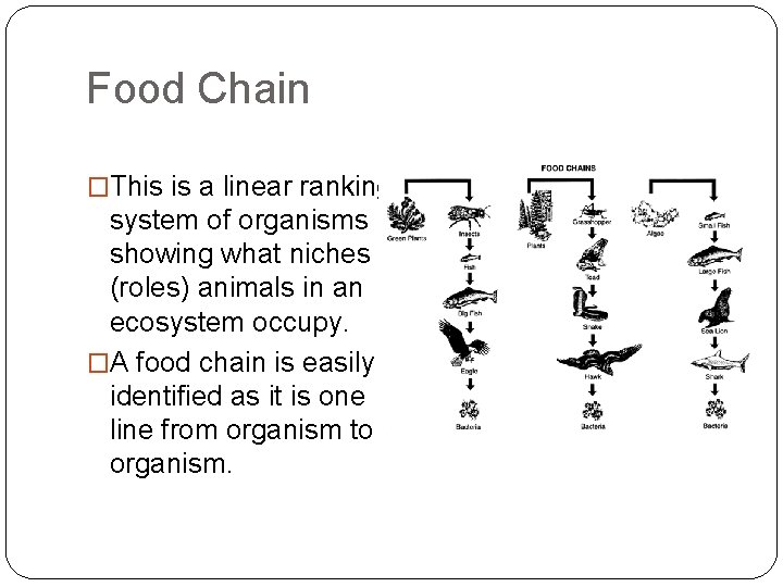 Interactions in Ecosystems Food Chains Food Webs What