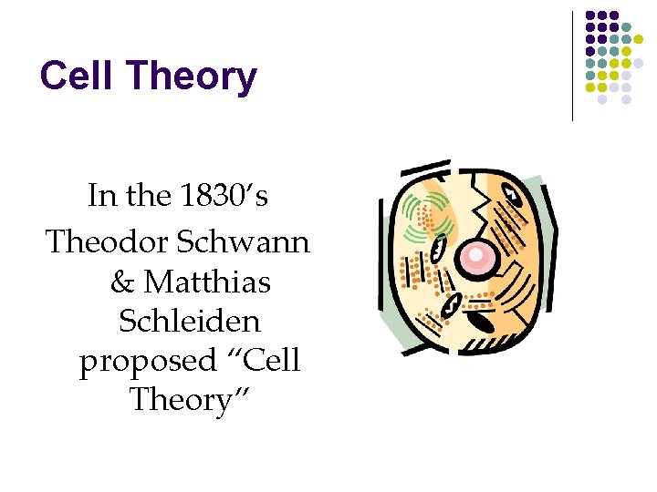 Cell Division An informative presentation by your wacky