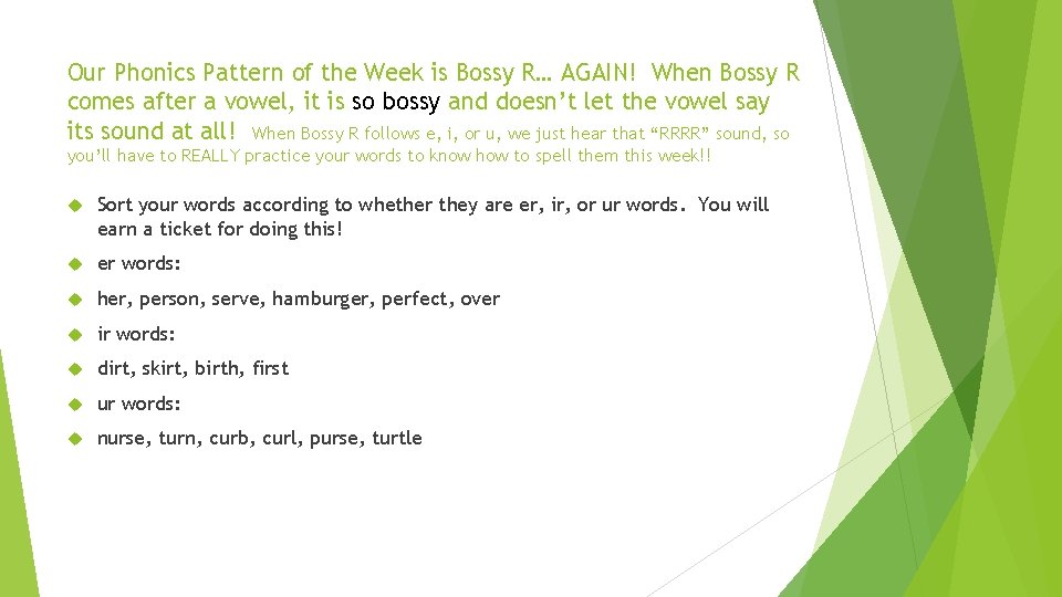 Turtles Race with Beaver A Folk Tale A