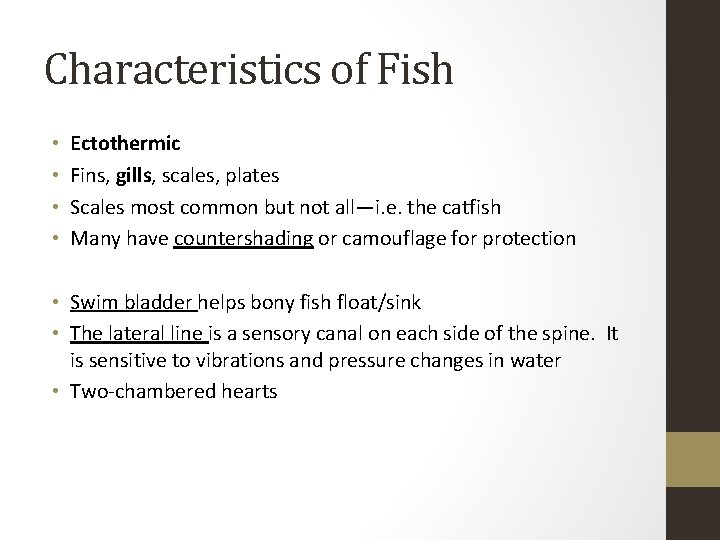 Vertebrates Chapters 17 18 What is an animal