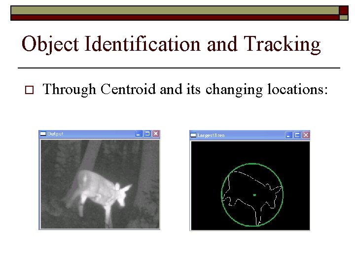 Infrared Thermal CameraBased RealTime Identification and Tracking of