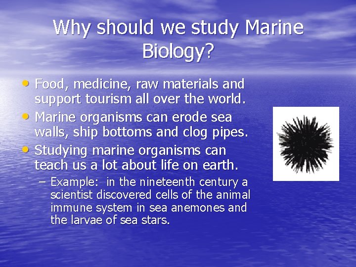 The Science of Marine Biology Miss Plumley Honors