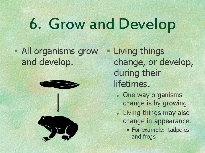 The Characteristics of Living Things Biologists use six