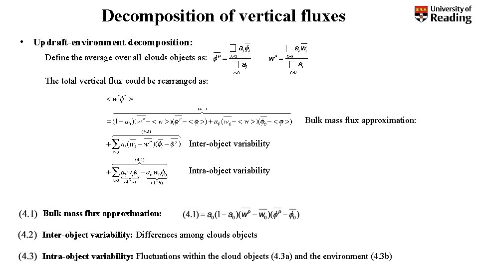 Evaluation of bulk mass flux approximation using large