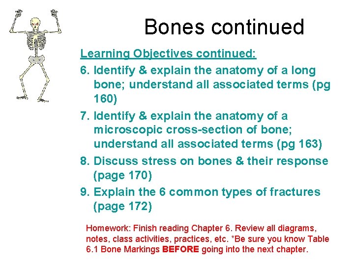 Homework Read Chap 6 Study all the bone