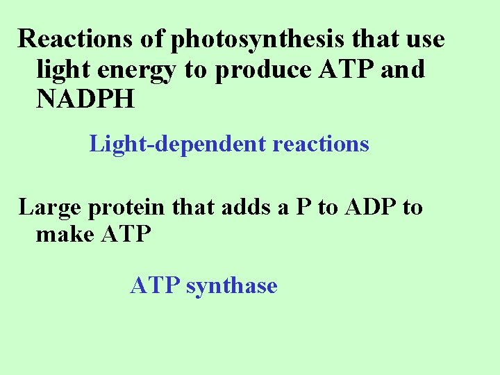 Photosynthesis Review Chapter 8 Plants look green because
