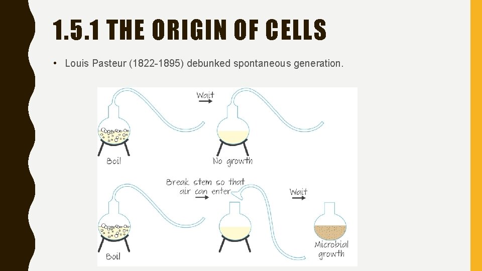 THE ORIGIN OF CELLS SUBTOPIC 1 5 THERE