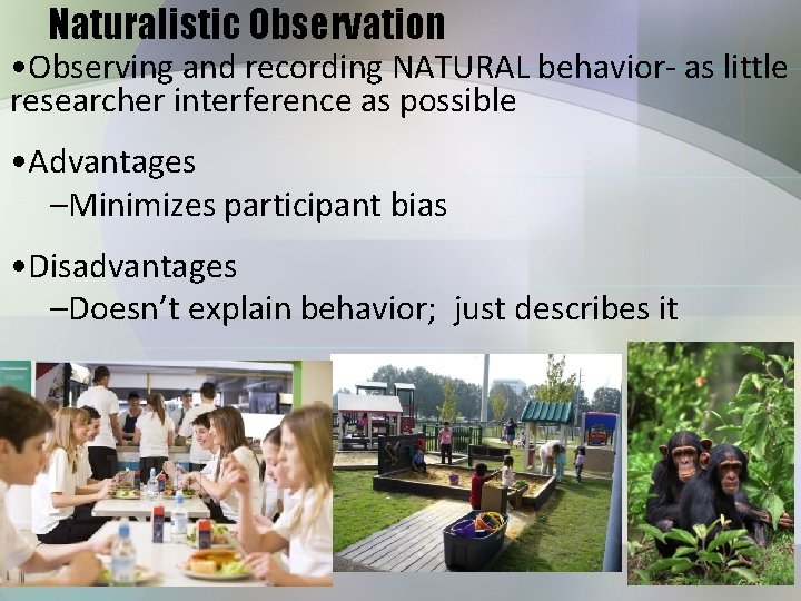 Methods of Studying Human Behavior What do Psychologists