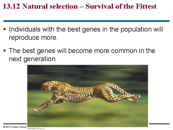Figure 13 02 Chapter 13 Big Ideas Darwins
