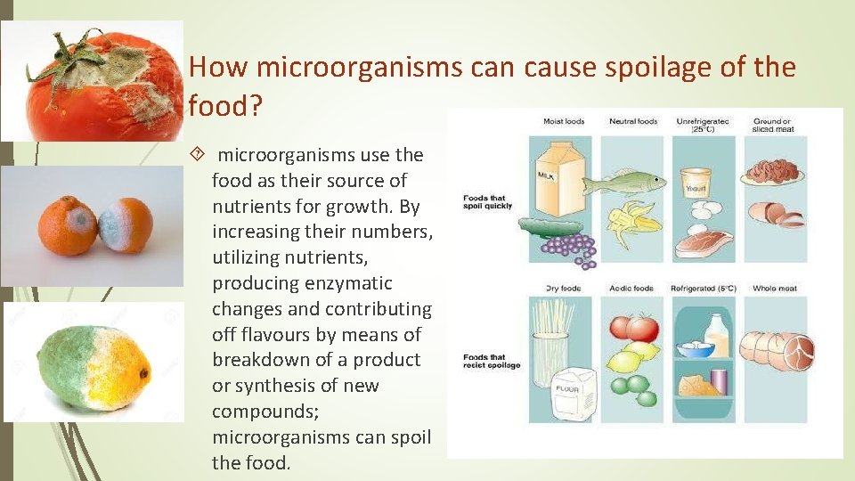 FOOD MICROBIOLOGY CLS 416 Principle of food microbiology