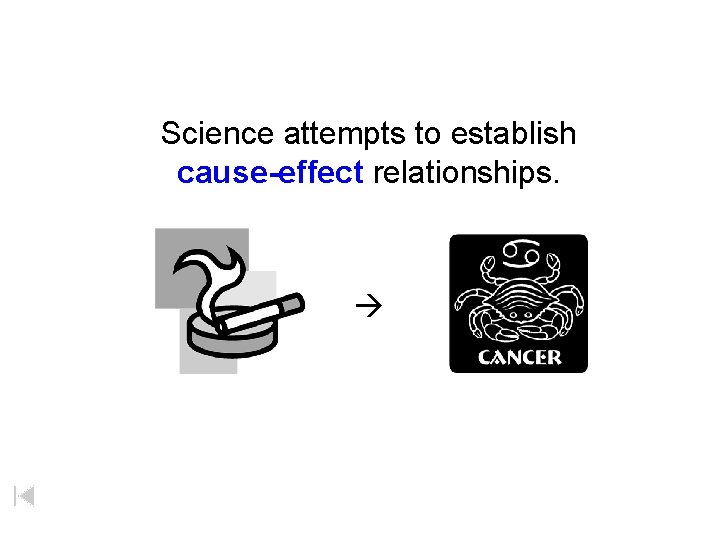 Basic research leads us to a greater understanding