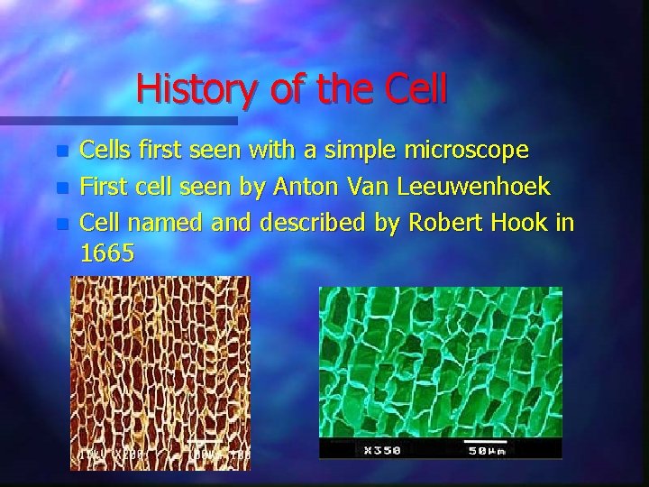 Cells and their Organelles Objectives History of a