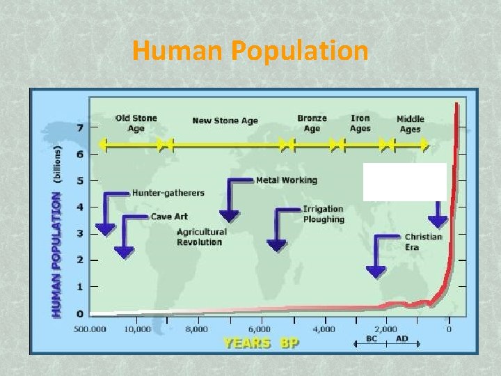 Ecology Branch of Biology study of organisms relationships