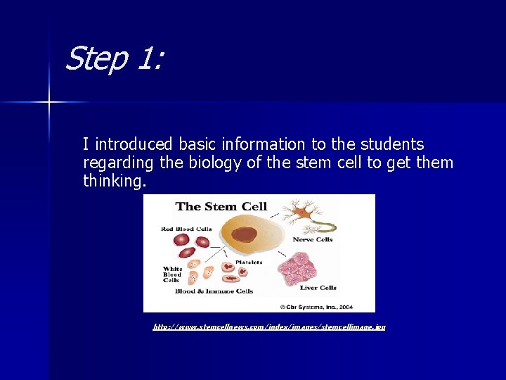The Fetal Stem Cell Debate How High School