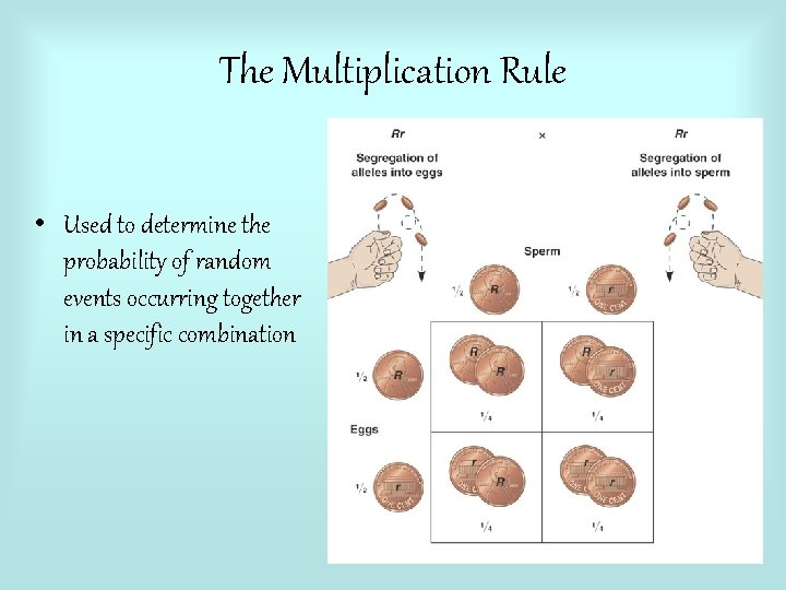 Genetics Probabilities Applying Laws of Probability While a