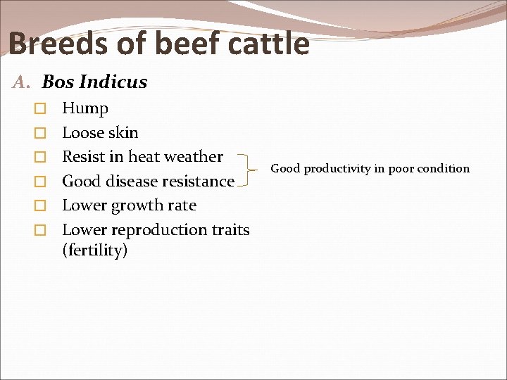 Beef cattle breeds Why beef Beef nutritional facts