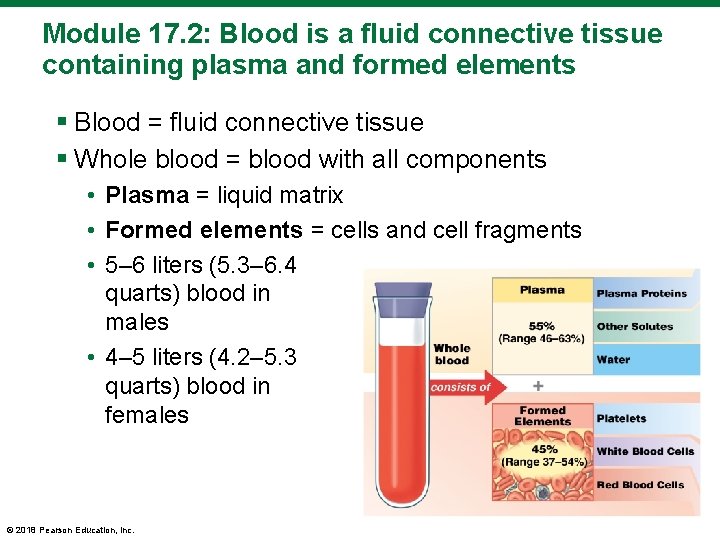 17 Blood Lecture Presentation by Lori Garrett 2018