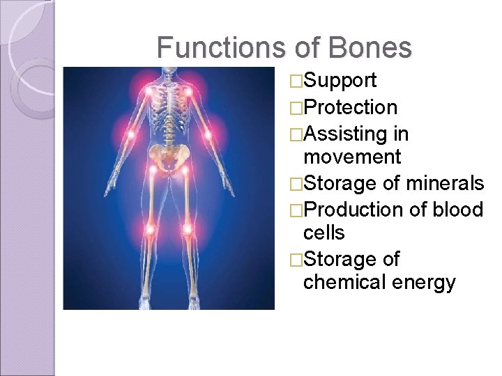 Muscular movement bone growth and nerve transmission Physiology
