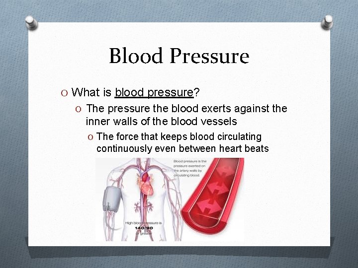 Blood Circulation Physiology Vascular System O Blood circulates