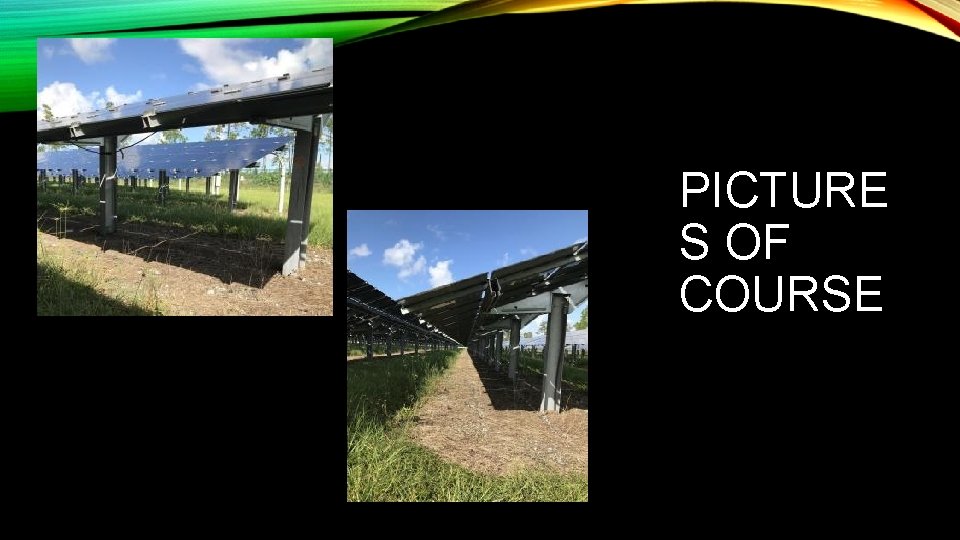 Daniel Corbellini EE Tyler Bradley EE Joseph Morelli