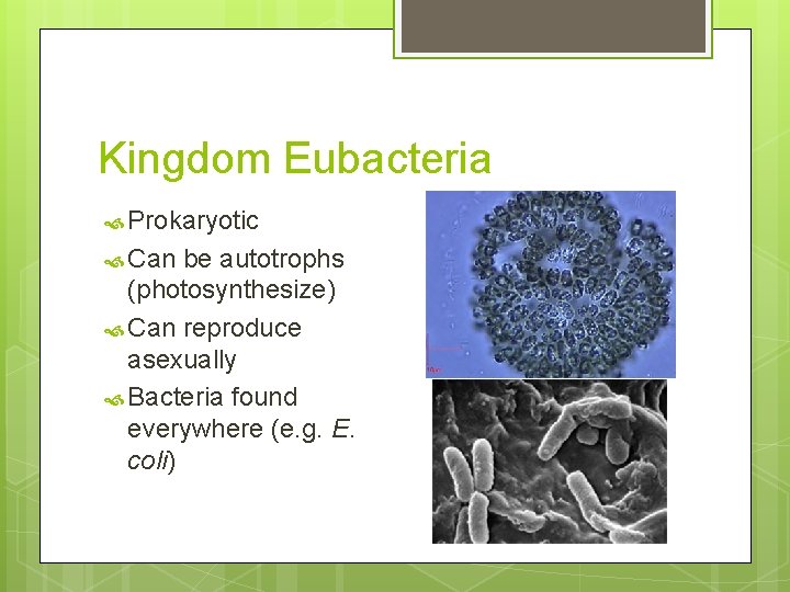 6 Kingdoms of Life on Earth Learning Objectives