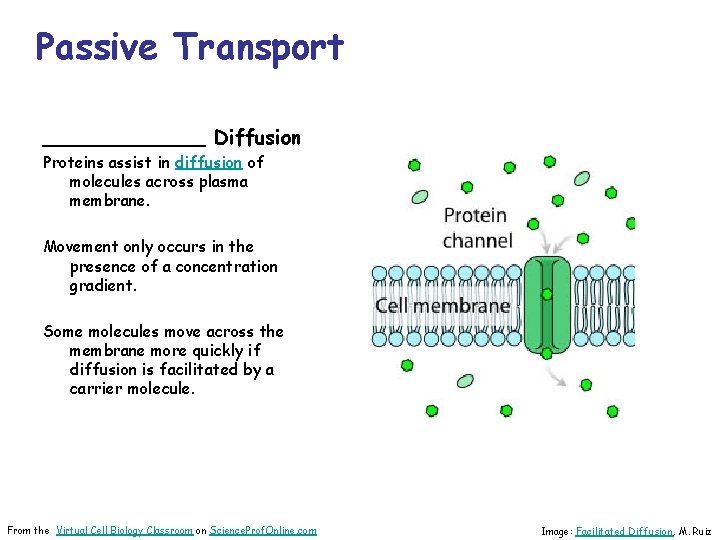 About Science Prof Online Power Point Resources Science