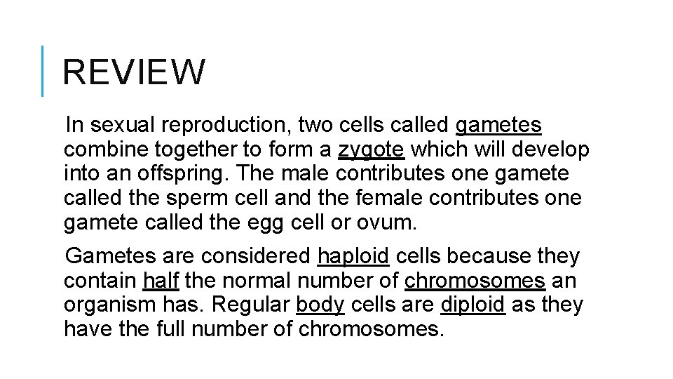 BIOLOGY V 1 Meiosis 2 Stages of Meiosis
