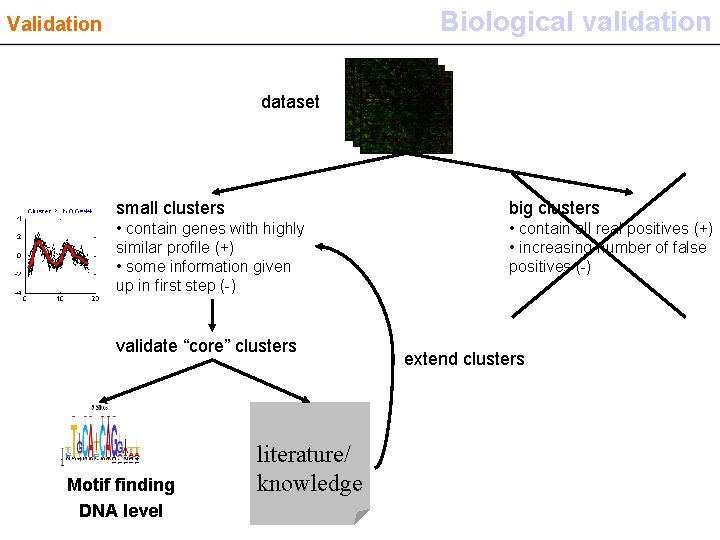 Cluster validation Integration ICES Bioinformatics Overview INTRODUCTION MICROARRAY