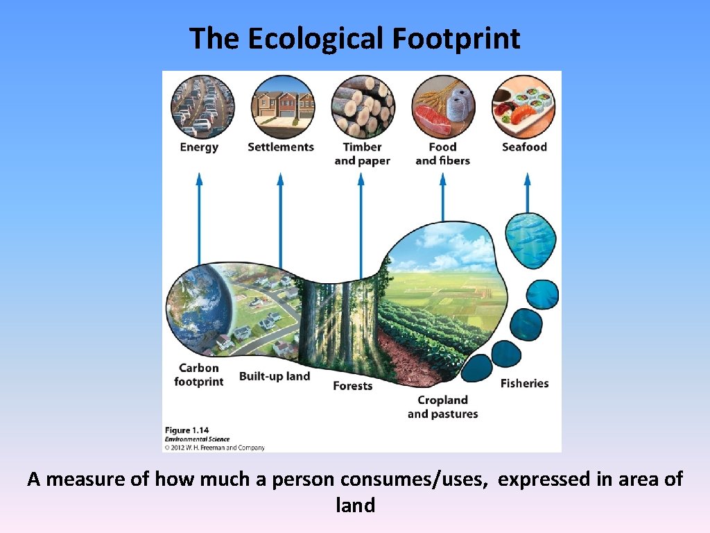Ecological Footprint Sustainability Can we measure what you