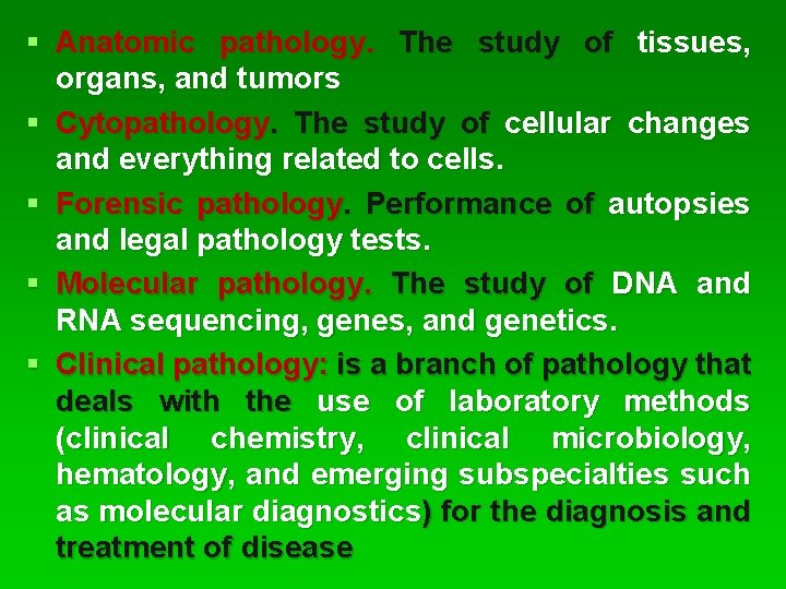 CLINICAL ANALYSIS LECTURE 1 Dr Khetam Habeeb Rasool