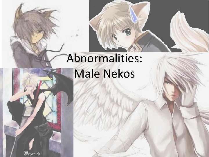 Abnormalities Female Nekos Female Neko Academy Is A
