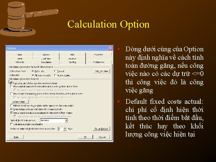 Microsoft Project 2003 Bi 6 Tu chn Options