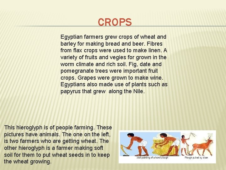 FARMING IN ANCIENT EGYPT By Nathan and Bailey