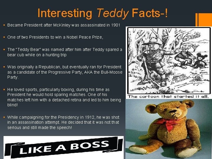 Theodore Roosevelt Interesting Teddy Facts Became President after
