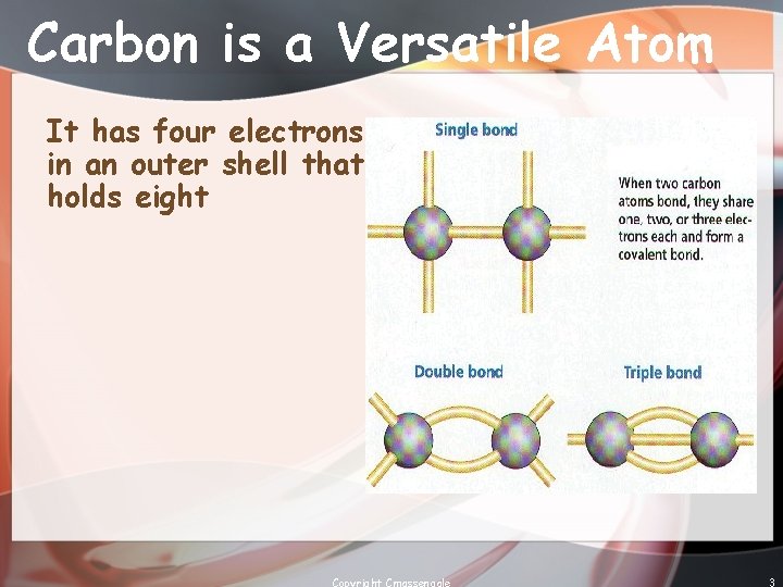 Biochemistry of Cells Copyright Cmassengale 1 Carbonbased Molecules