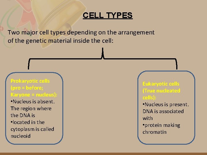 MICROSCOPY Prepared by Reem Aldossari APPLICATIONS OF COMPOUND