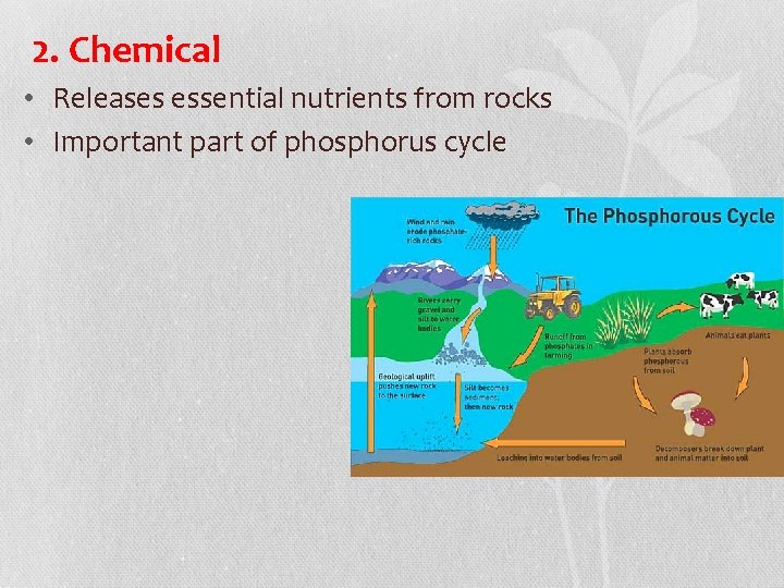 SOIL Weathering 1 PHYSICAL Mechanical breakdown of rocks