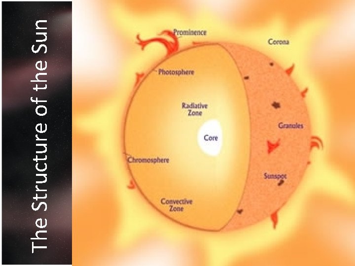 The Solar System The Sun Objectives Describe the