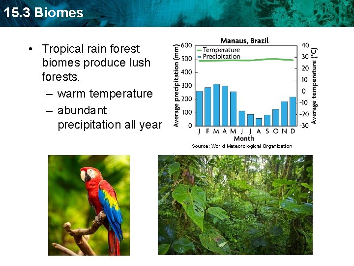 15 3 Biomes KEY CONCEPT Biomes are landbased