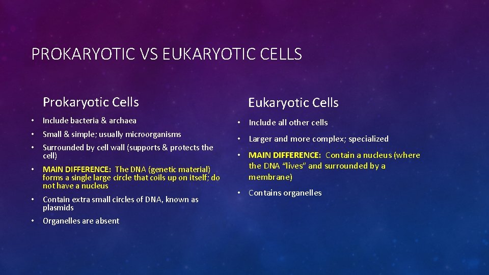 UNIT 2 CELLS OBJECTIVE 1 DESCRIBE THE FUNDAMENTAL