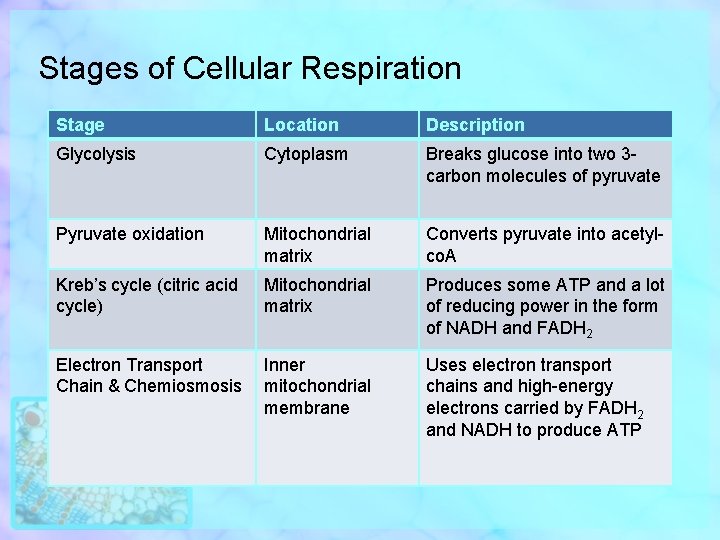Unit 2 Metabolic Processes Cellular Respiration An Overview