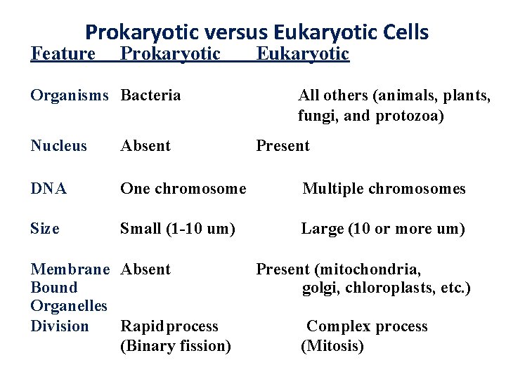 Lecture 4 The Cell The basic unit of