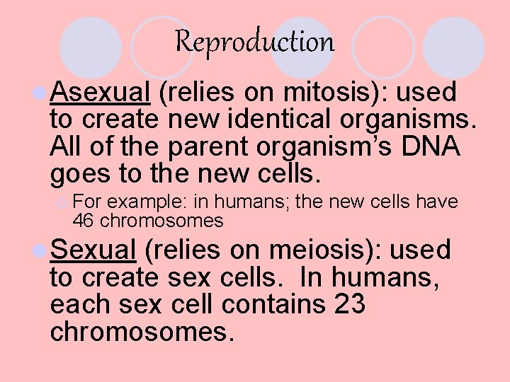 MEIOSIS NOTES Double cell division Reproduction l Asexual