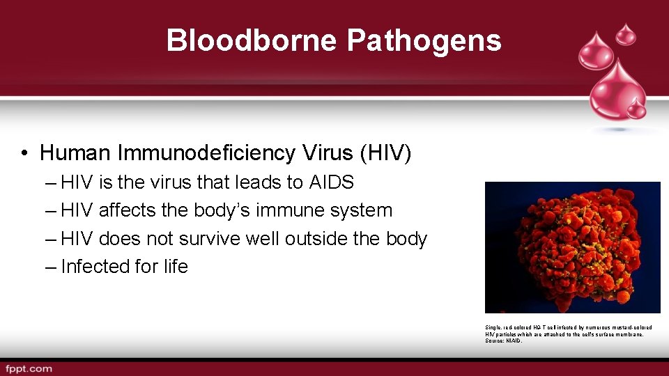 Sharp Safety Blood borne Pathogens Introduction Lesson objectives