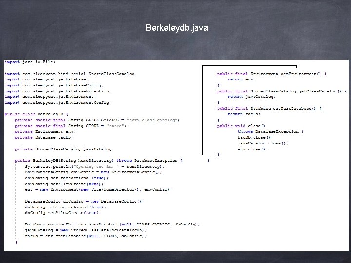 No SQL Databases Oracle Berkeley DB Rasanjalee DM